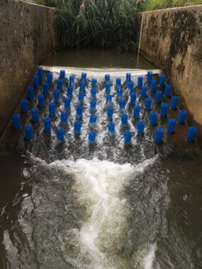 CASE STUDY: DEVELOPING A LOW-COST FISH PASSAGE SOLUTION TO MITIGATE FOR ...