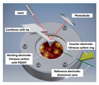 Understanding the charge storage mechanism of conductive polymers as ...